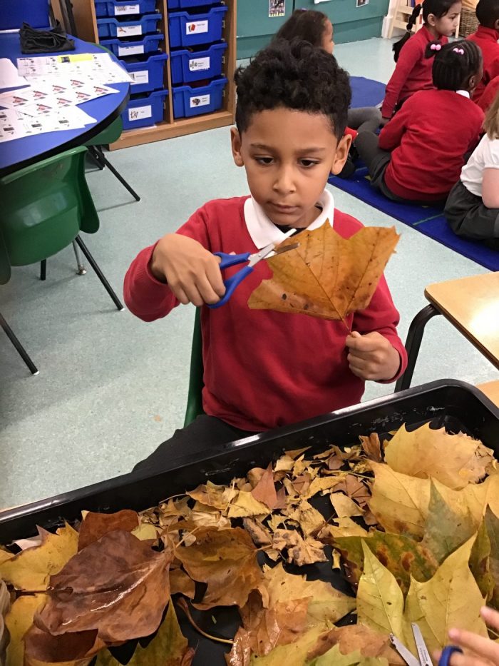 St John & St James Primary School | What’s happening in Reception – Week 3