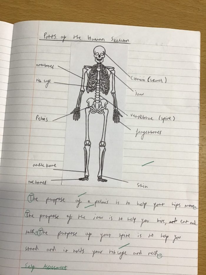 St John & St James Primary School | What’s happening in Year 3 – Week 1
