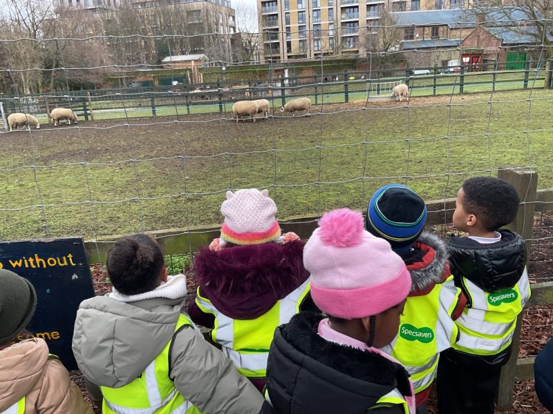 St John & St James Primary School | What’s happening in Reception – Week 5