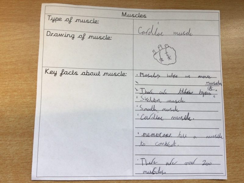 St John & St James Primary School | What’s happening in Year 3 – Week 1