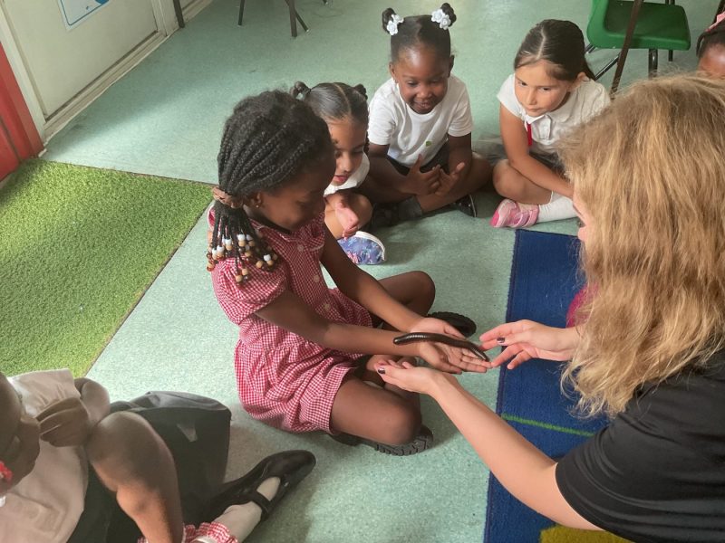 St John & St James Primary School | What’s happening in Reception – Week 6